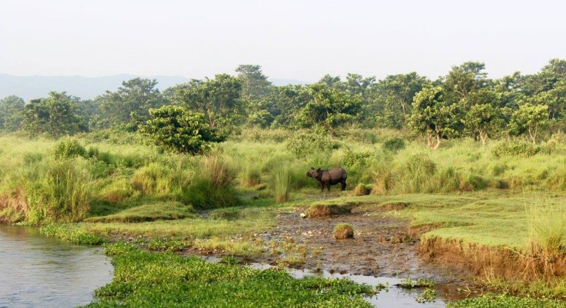 Chitwan Tour - World Himalayan Destination